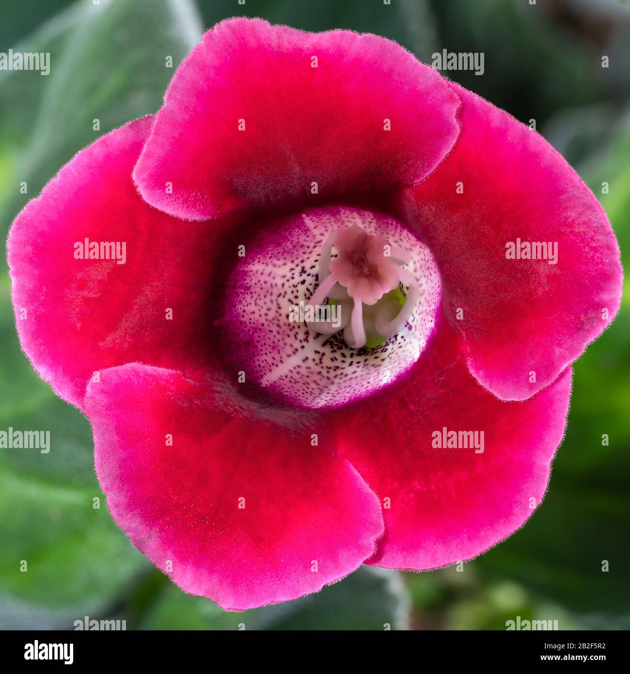 Impressive visual effect hi-res stock photography and images - Alamy
