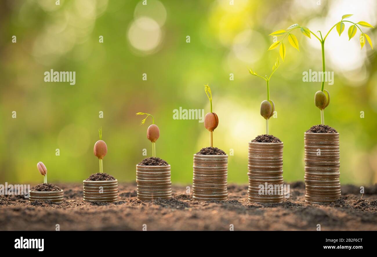 Money sprout hi-res stock photography and images - Alamy
