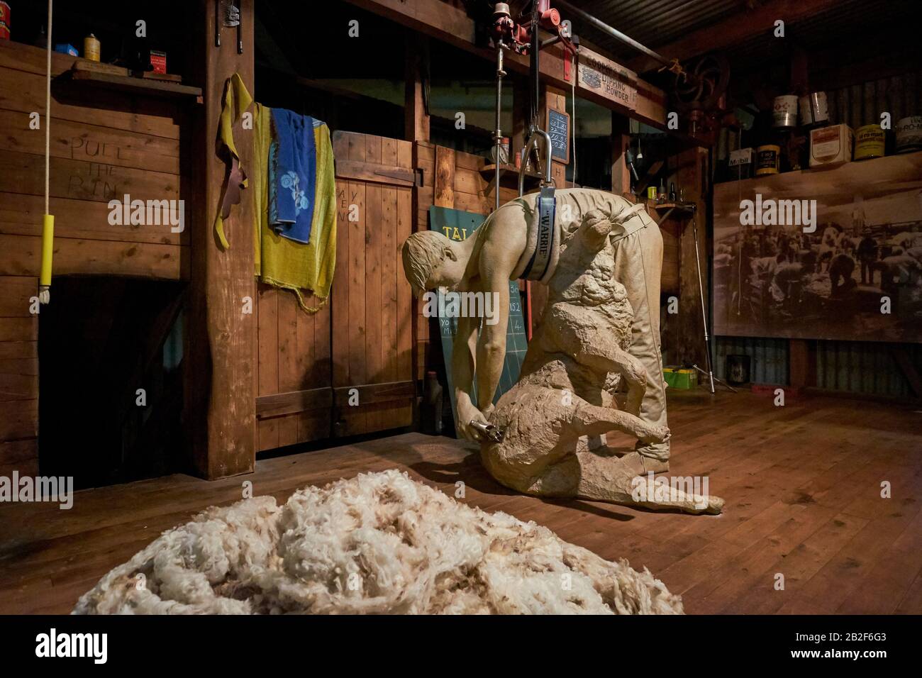 A display of how sheep are sheared for their wool. At the National Wool ...
