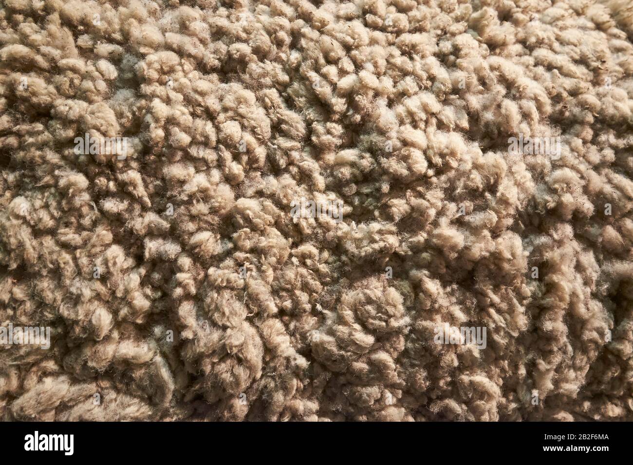 Geelong culture hi-res stock photography and images - Alamy