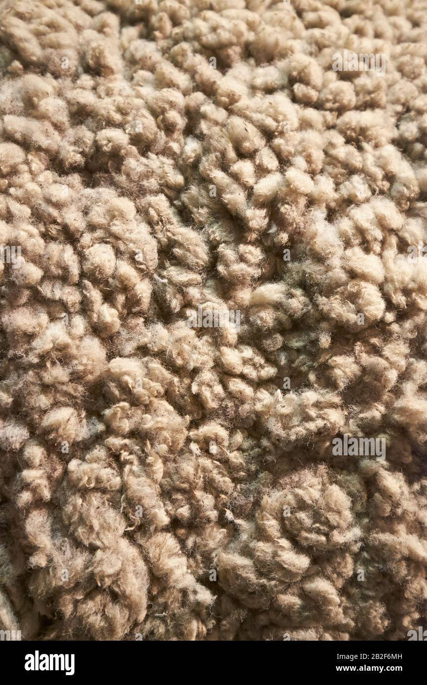 Wool sheep textile industry hi-res stock photography and images - Alamy
