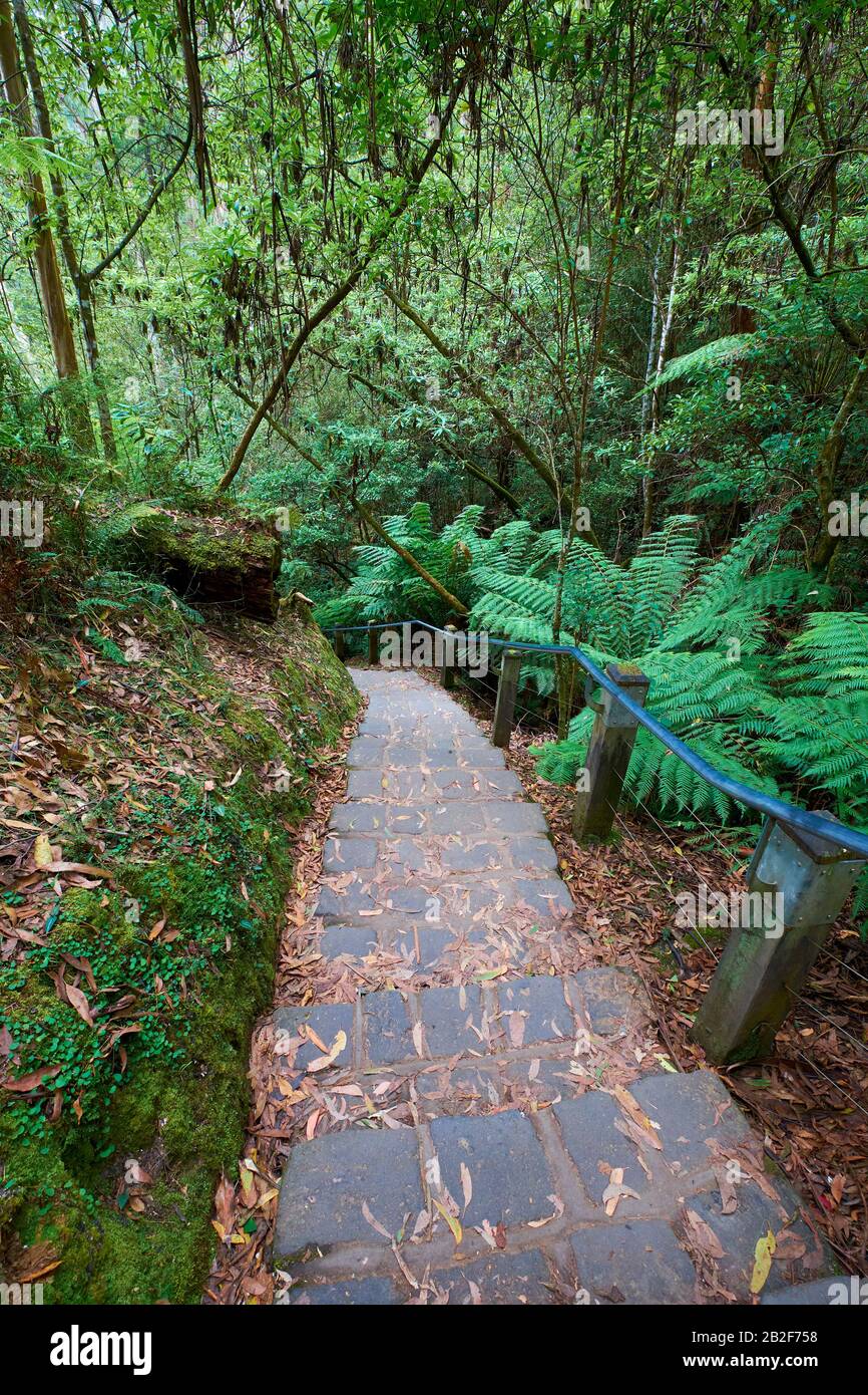 Victoria falls walk hi-res stock photography and images - Alamy