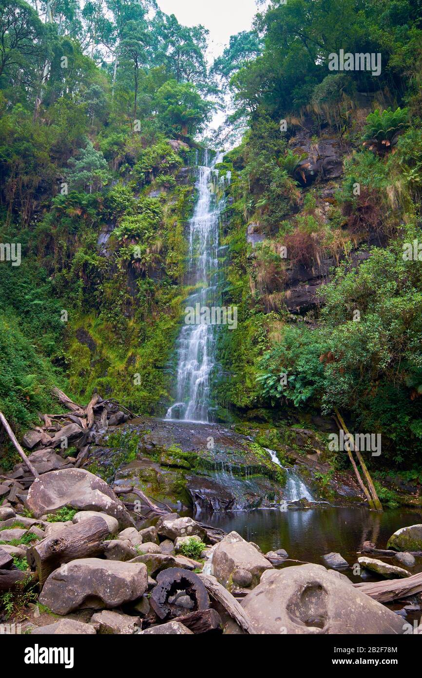 The view of the falls from below. At Erskine Falls along the Great ...
