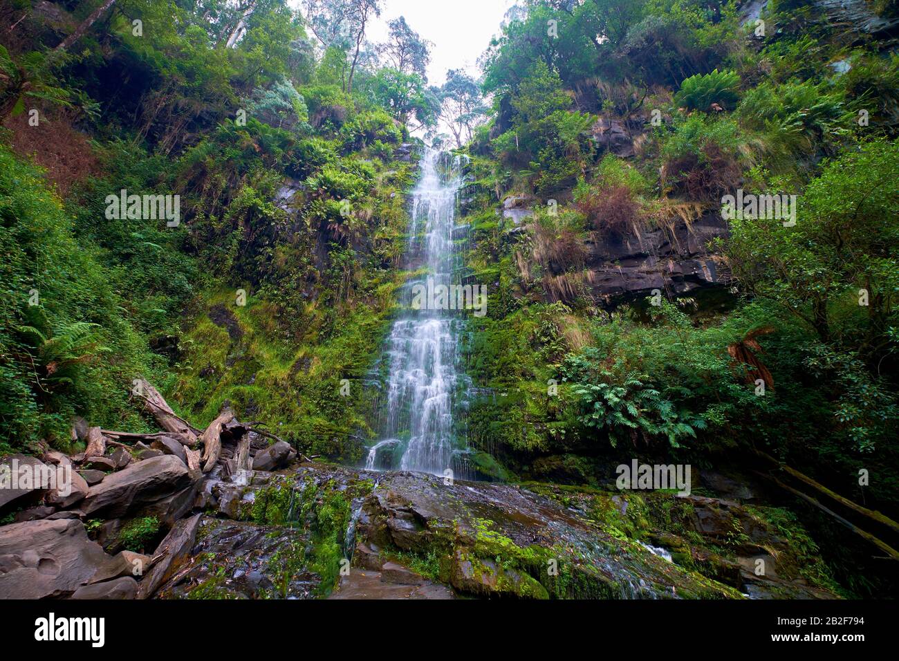 The view of the falls from below. At Erskine Falls along the Great ...