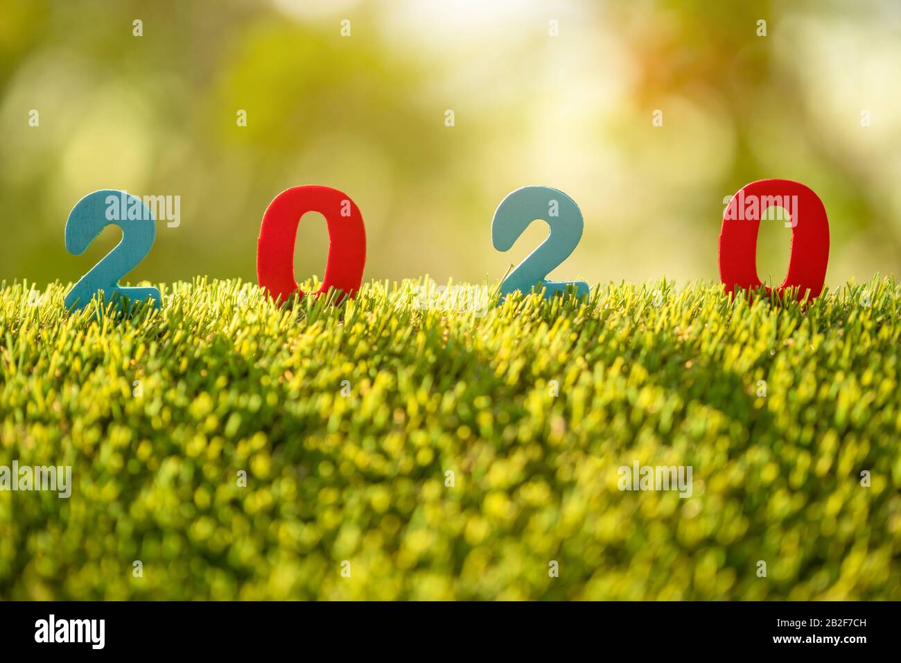 Color number 2020 on top of the green grass in garden blur background ...