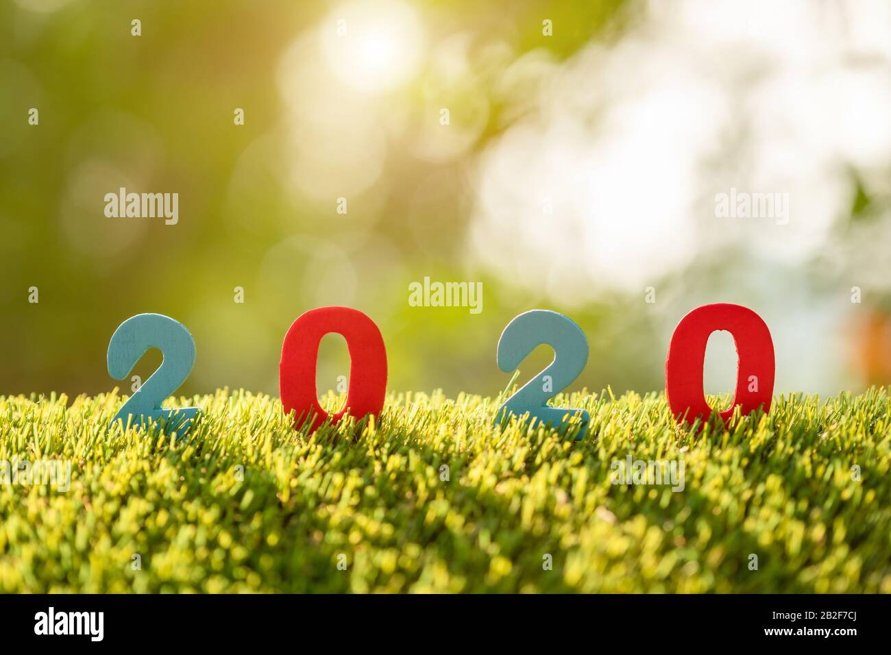 Color number 2020 on top of the green grass in garden blur background ...