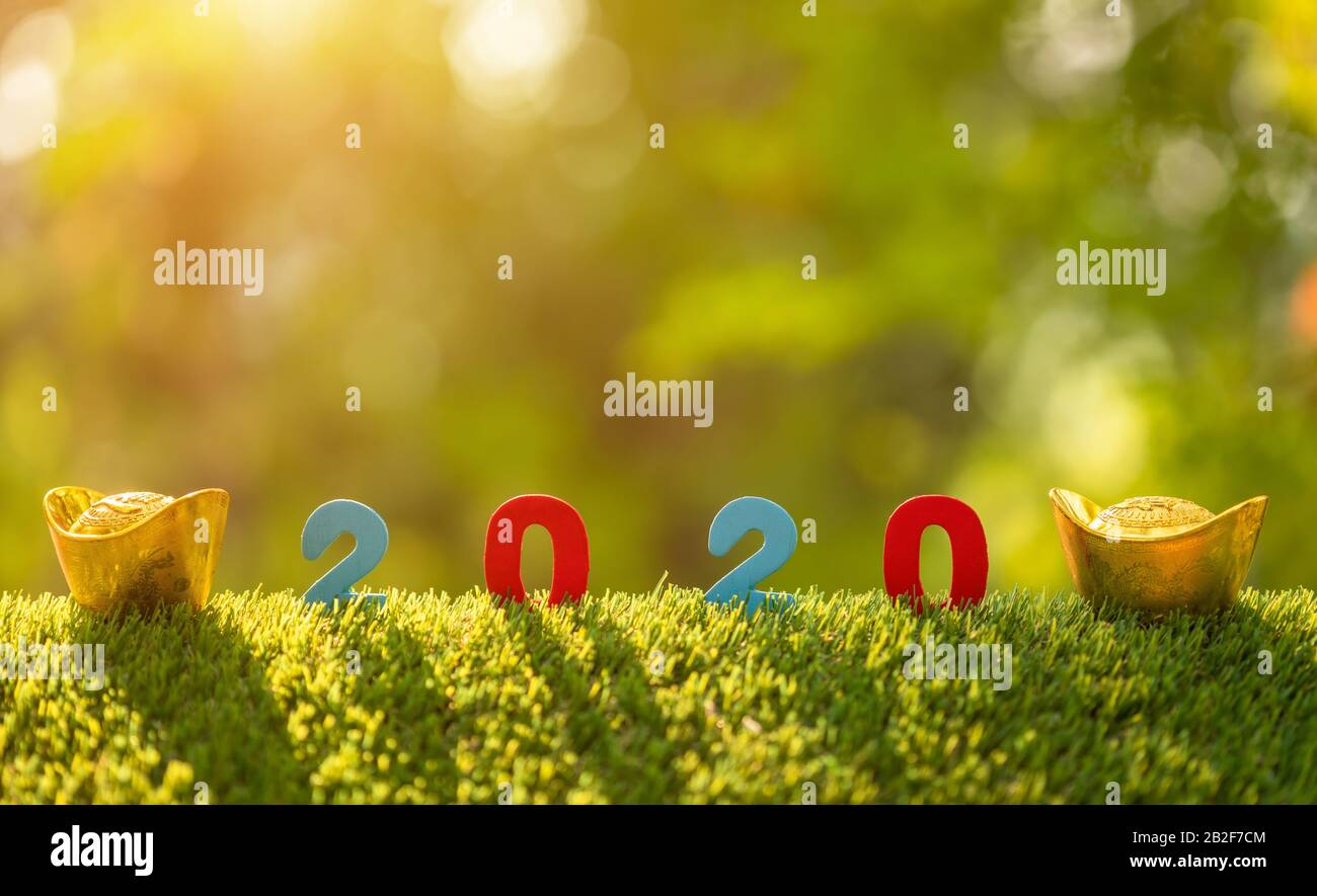 Color number 2020 with Chinese new year decoration on top of the green ...