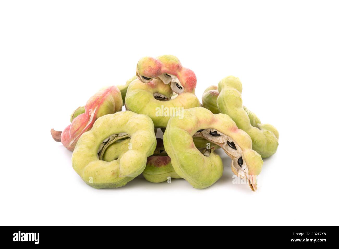 Pithecellobium hi-res stock photography and images - Alamy