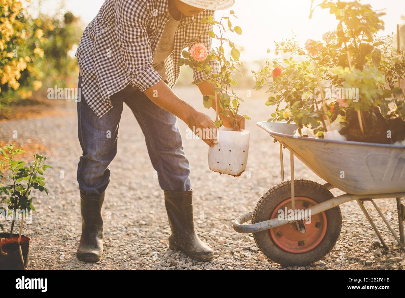 Setups hi-res stock photography and images - Alamy