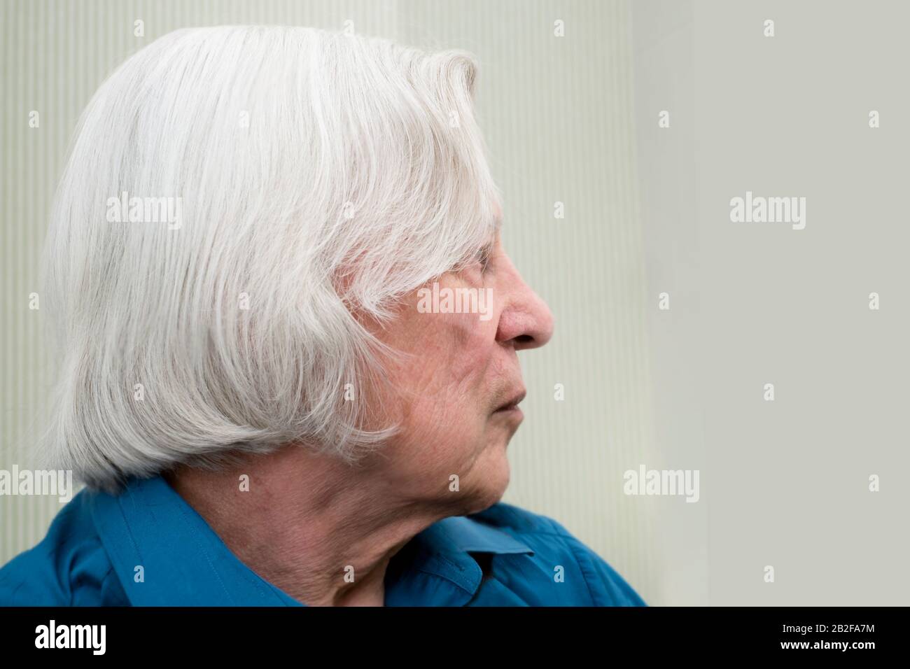 Head and shoulders portrait of an aged man with long gray hair Stock ...