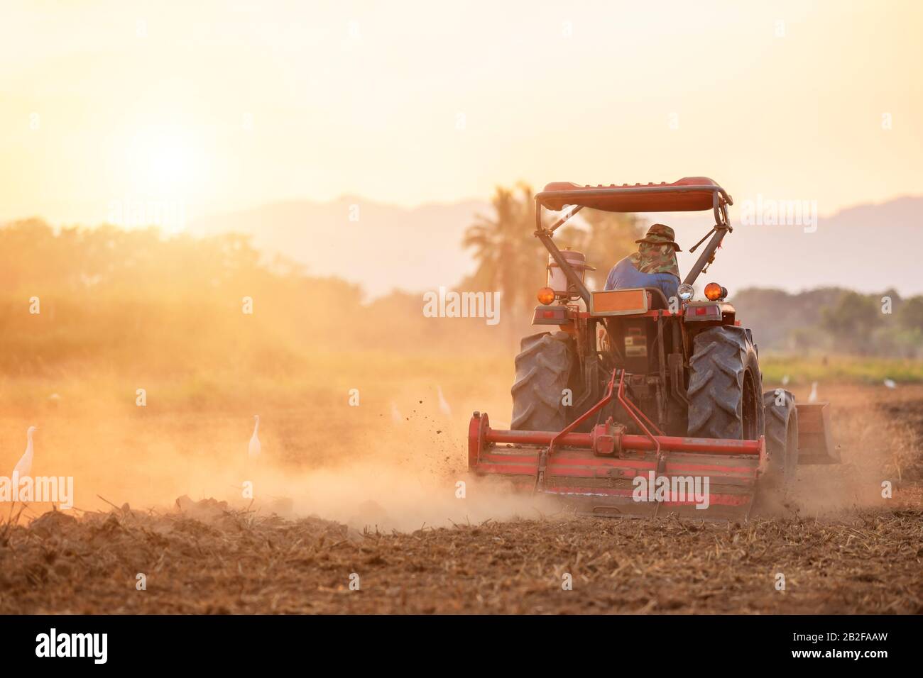 Thai farmer on big tractor in the land to prepare the soil for rice or ...