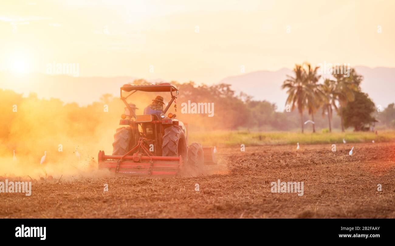 Thai farmer on big tractor in the land to prepare the soil for rice or ...