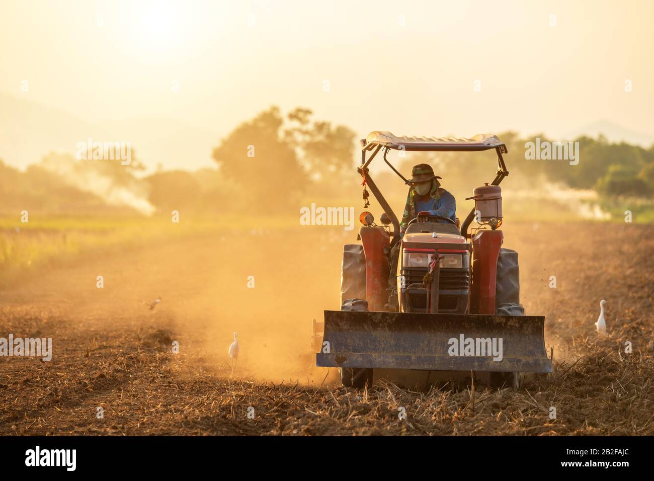 Thai farmer on big tractor in the land to prepare the soil for rice or ...