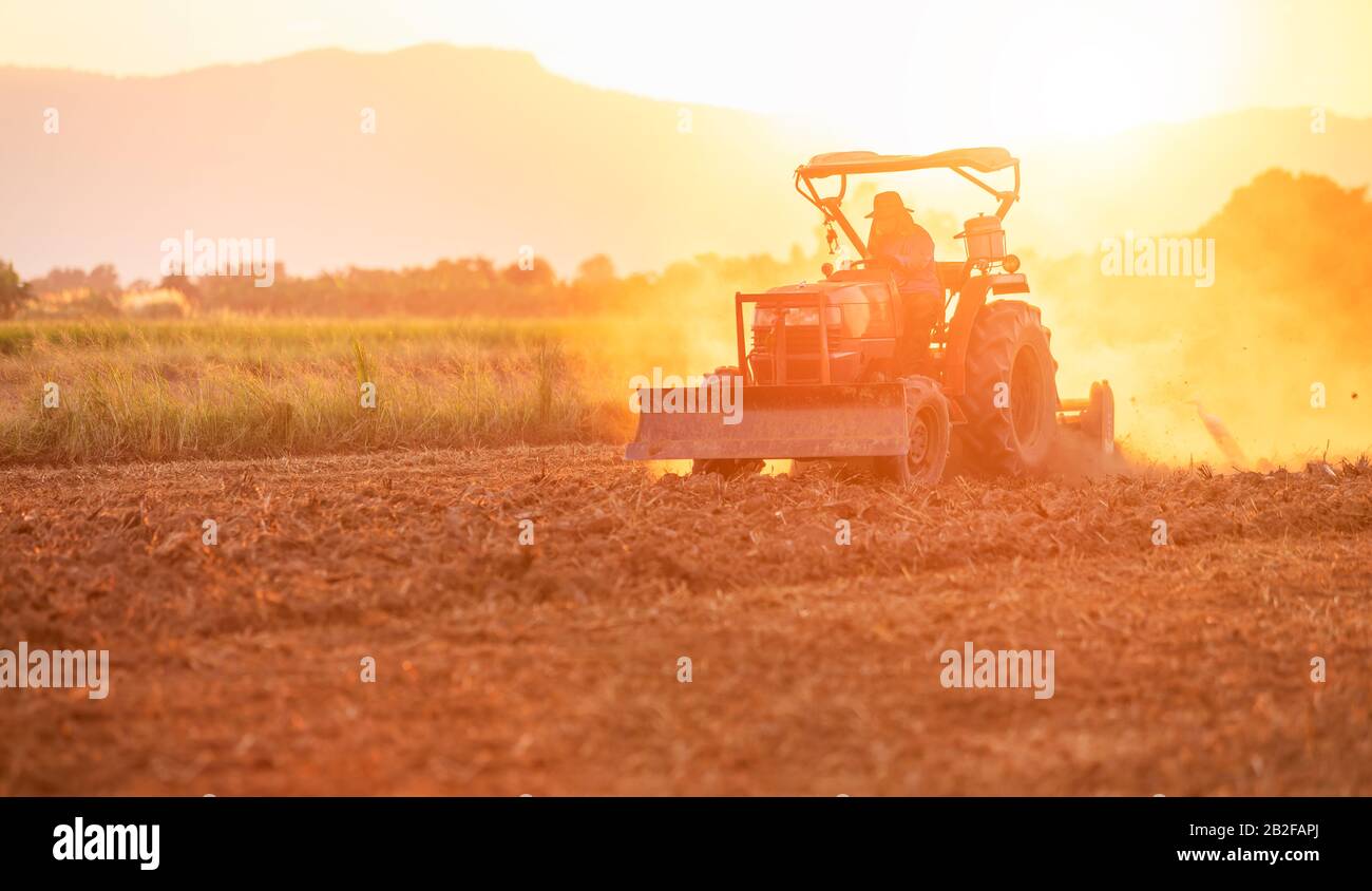 Thai farmer on big tractor in the land to prepare the soil for rice or ...