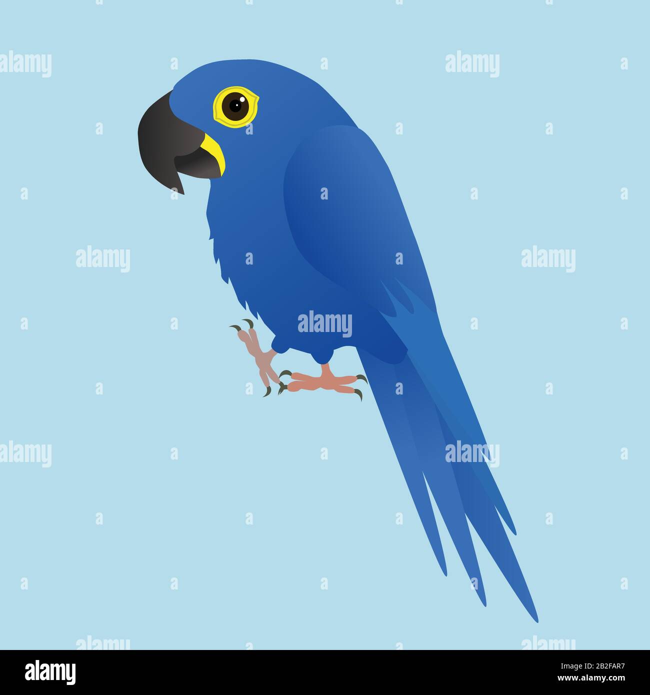 Cartoon ara hi-res stock photography and images - Alamy