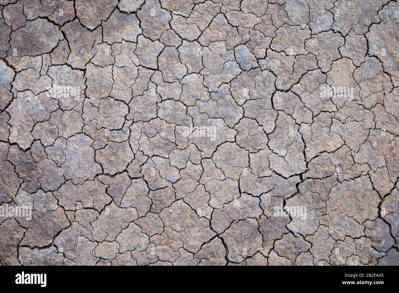 Top view grey dry soil or mud texture for background Stock Photo - Alamy