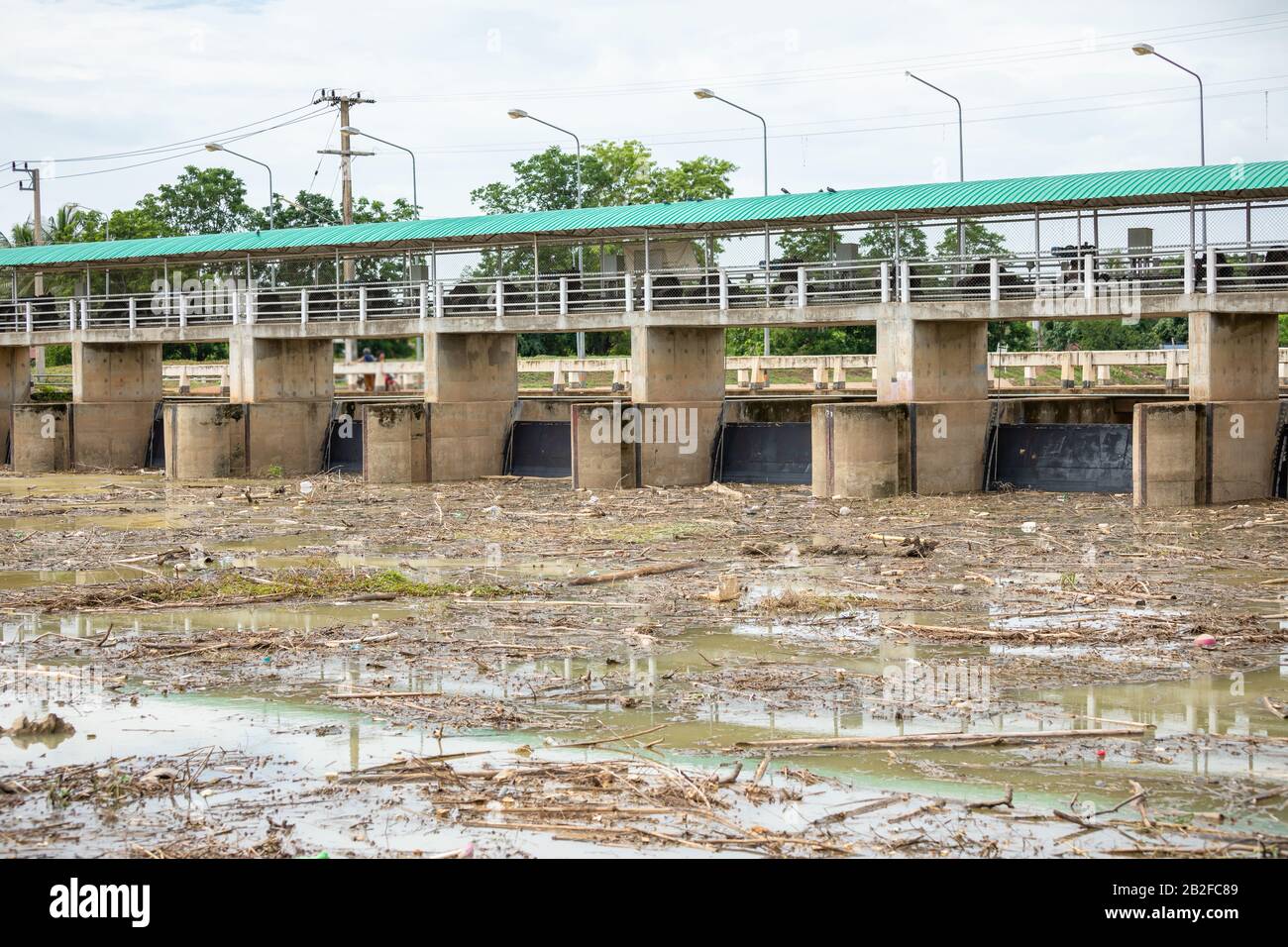 A lot of waste in the river and stuck near the main gate of dam Stock ...
