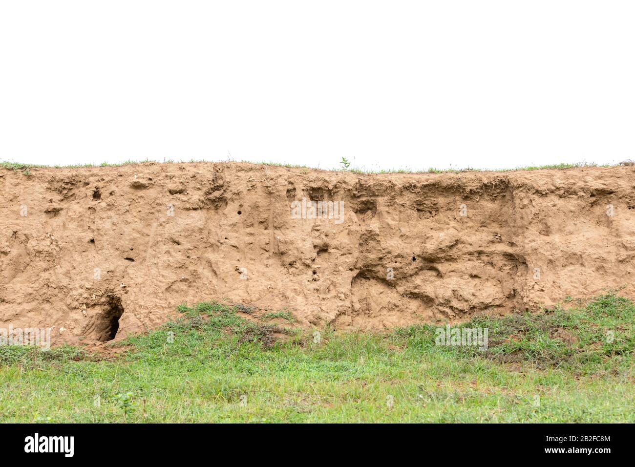 Layers of soil with green grass growing isolated on white background ...