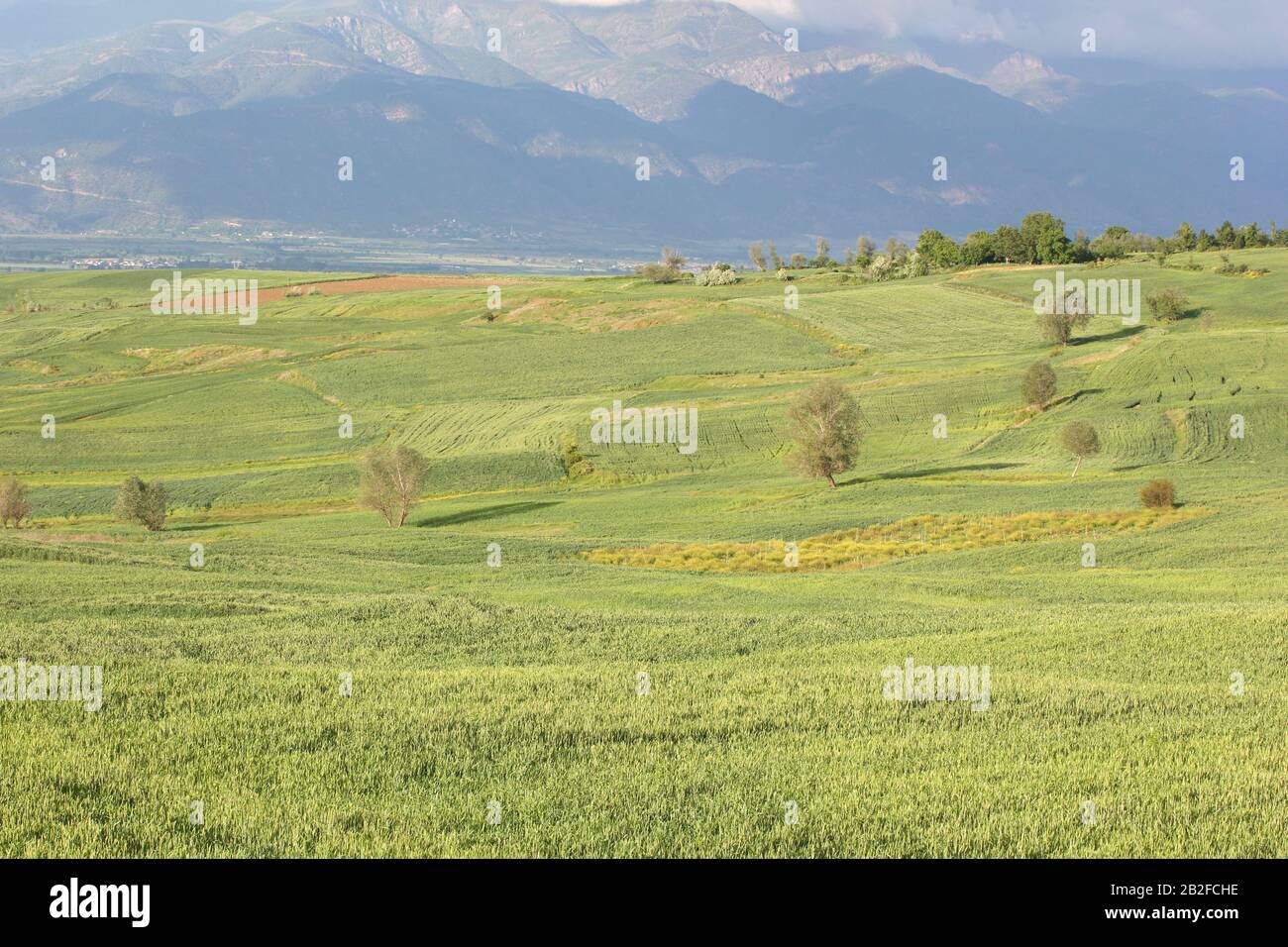 rural landscape green cultivated fields Stock Photo - Alamy