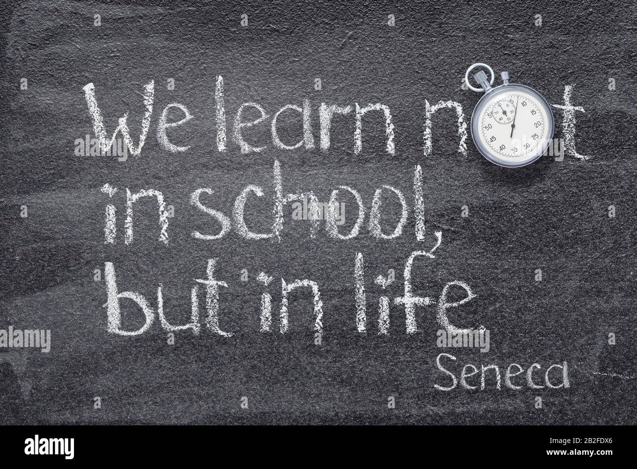 We learn not in the school, but in life - quote of ancient Roman ...