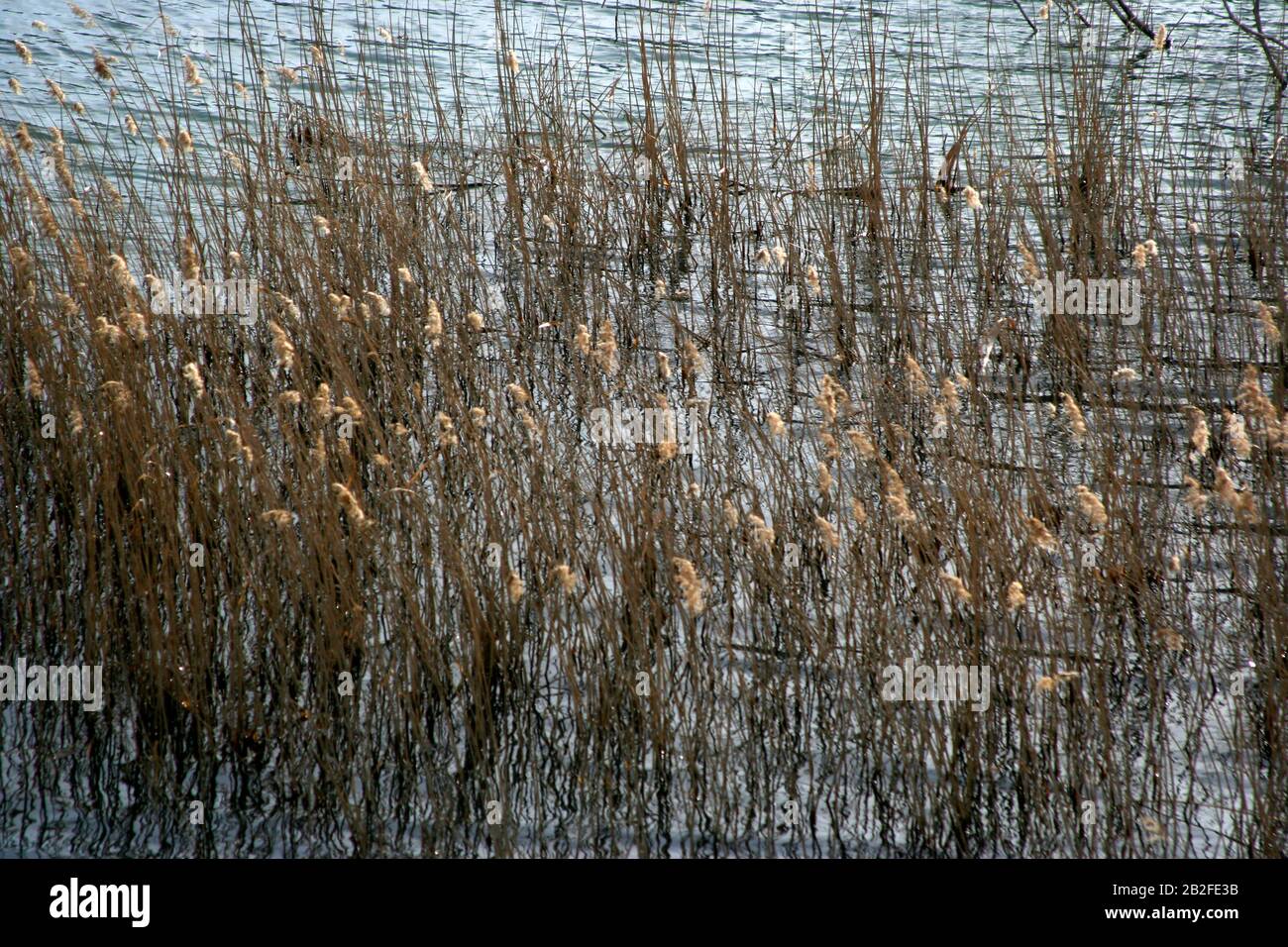 Non perennial river hi-res stock photography and images - Alamy
