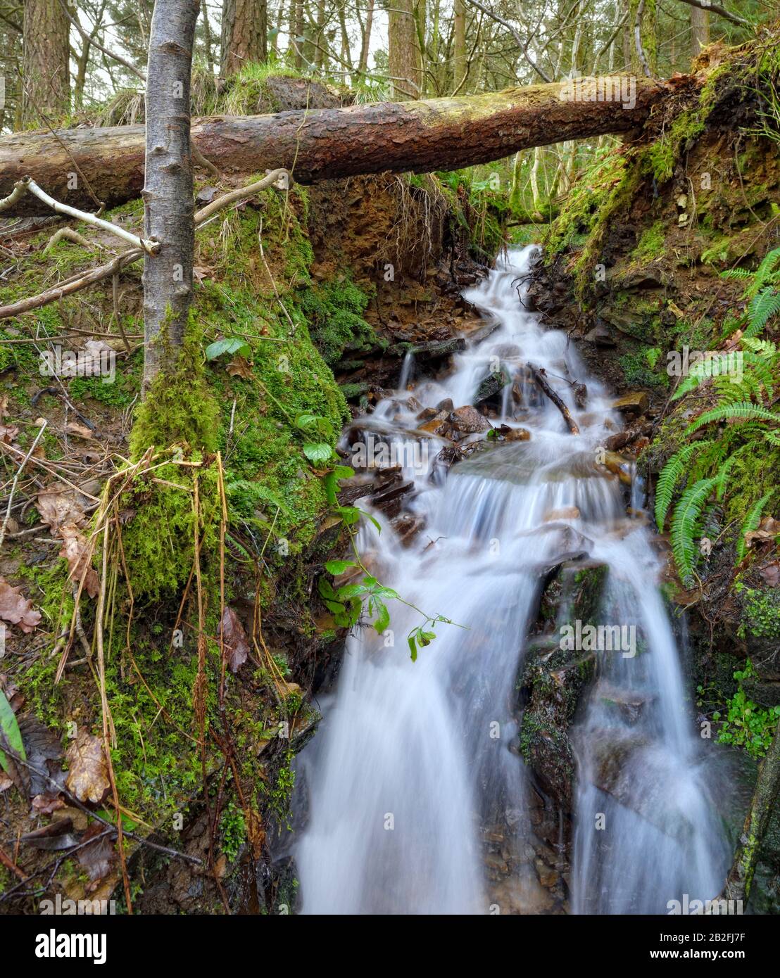 Ladybower Reservoir, waterfall, upper derwent valley,peak district ...