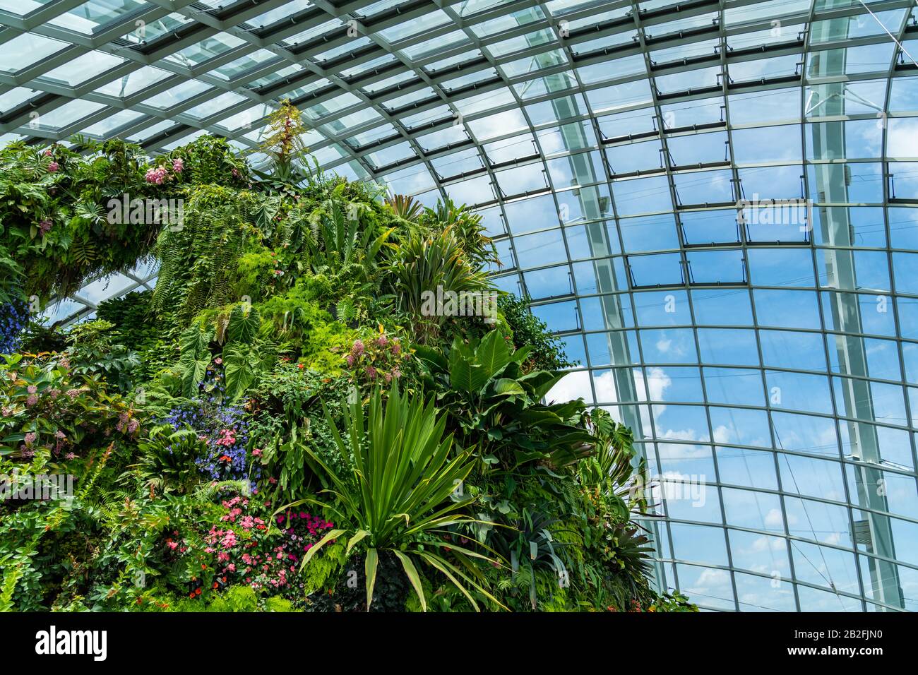 Singapore botanical gardens mist garden hi-res stock photography and ...