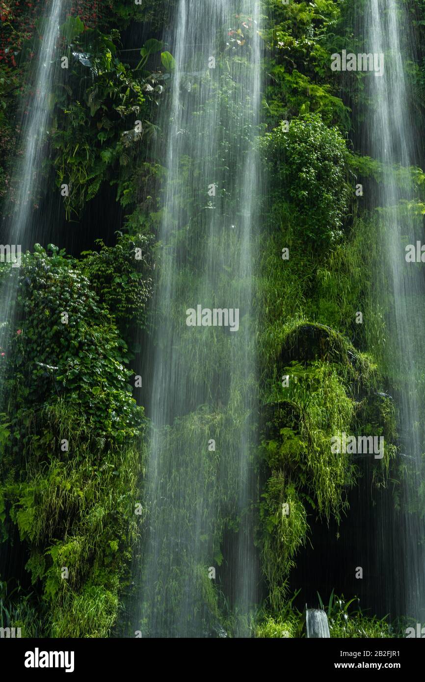 Singapore botanical gardens mist garden hi-res stock photography and ...