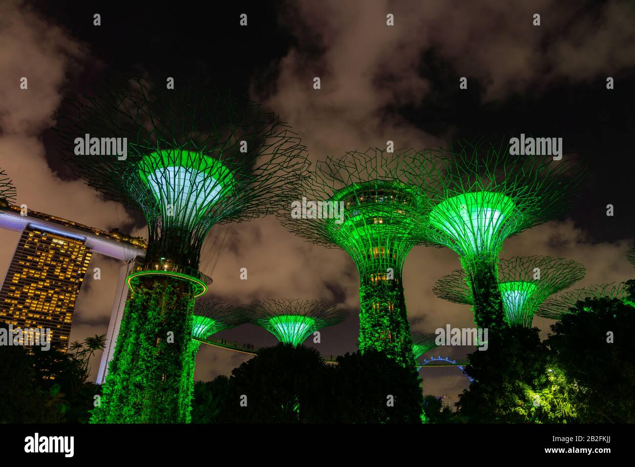 SINGAPORE CITY, SINGAPORE - FEBRUARY 14, 2020: Gardens by the bay in ...