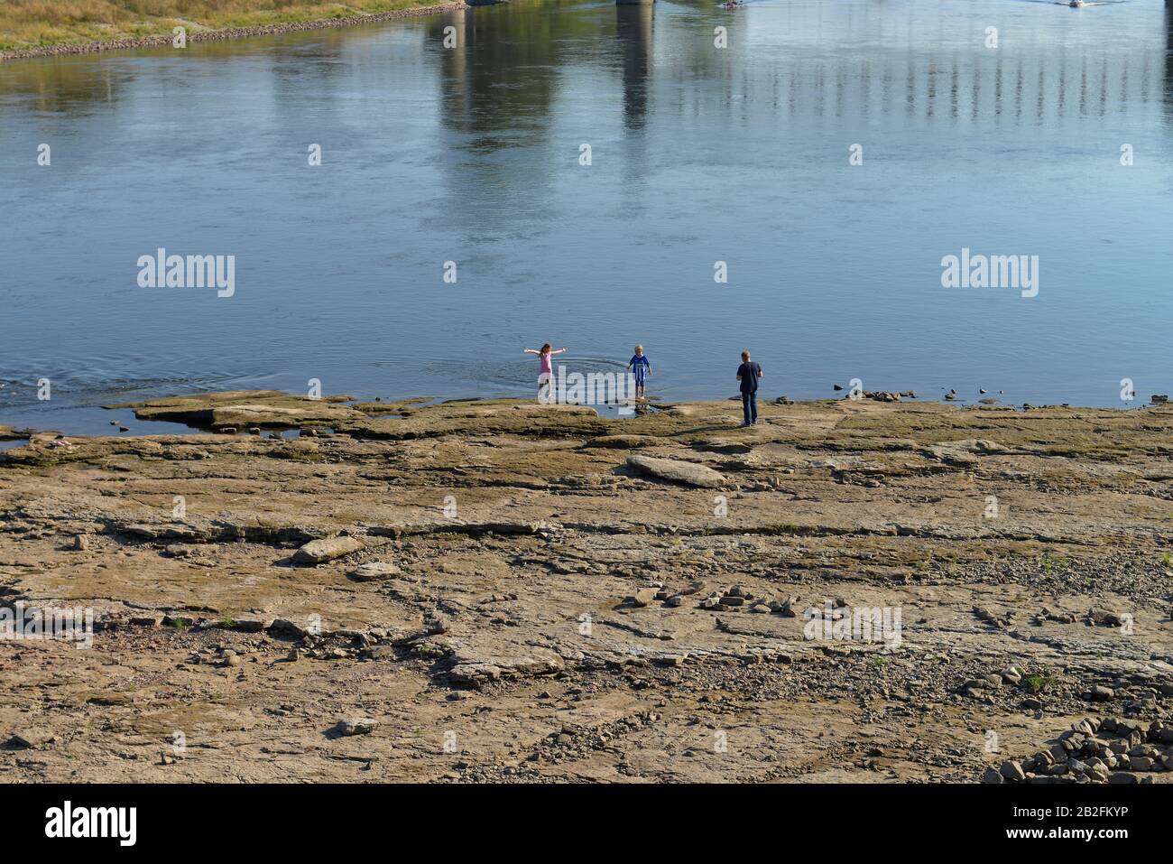 Elbe, Ufer, Magdeburg, Sachen-Anhalt, Deutschland Stock Photo - Alamy