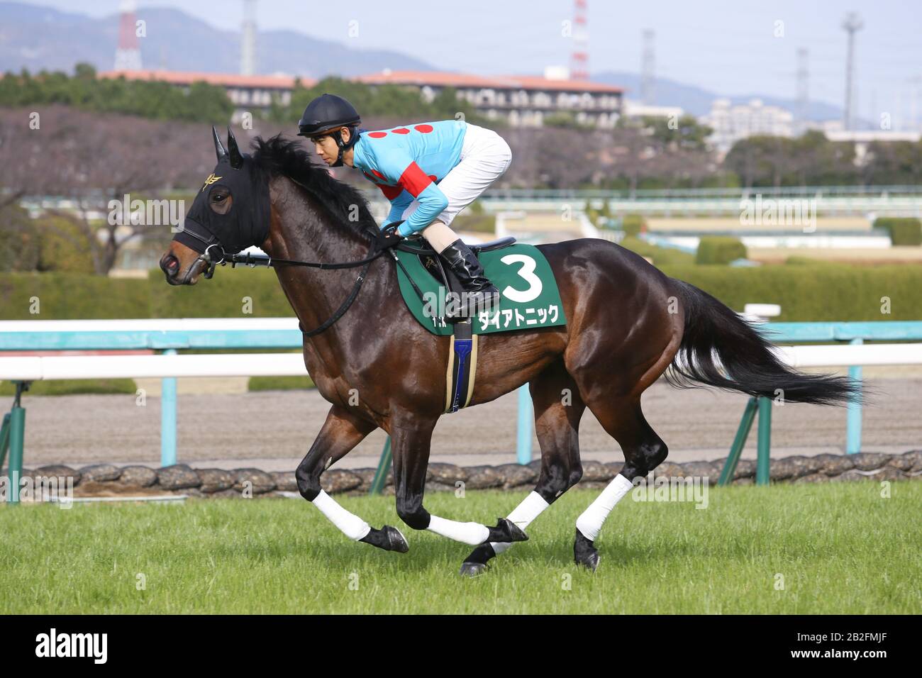 Hyogo, Japan. 1st Mar, 2020. Diatonic (Yuichi Kitamura) Horse Racing ...