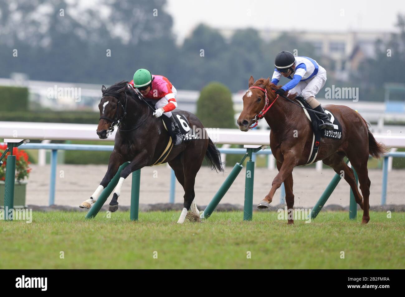 Daisaku hi-res stock photography and images - Alamy