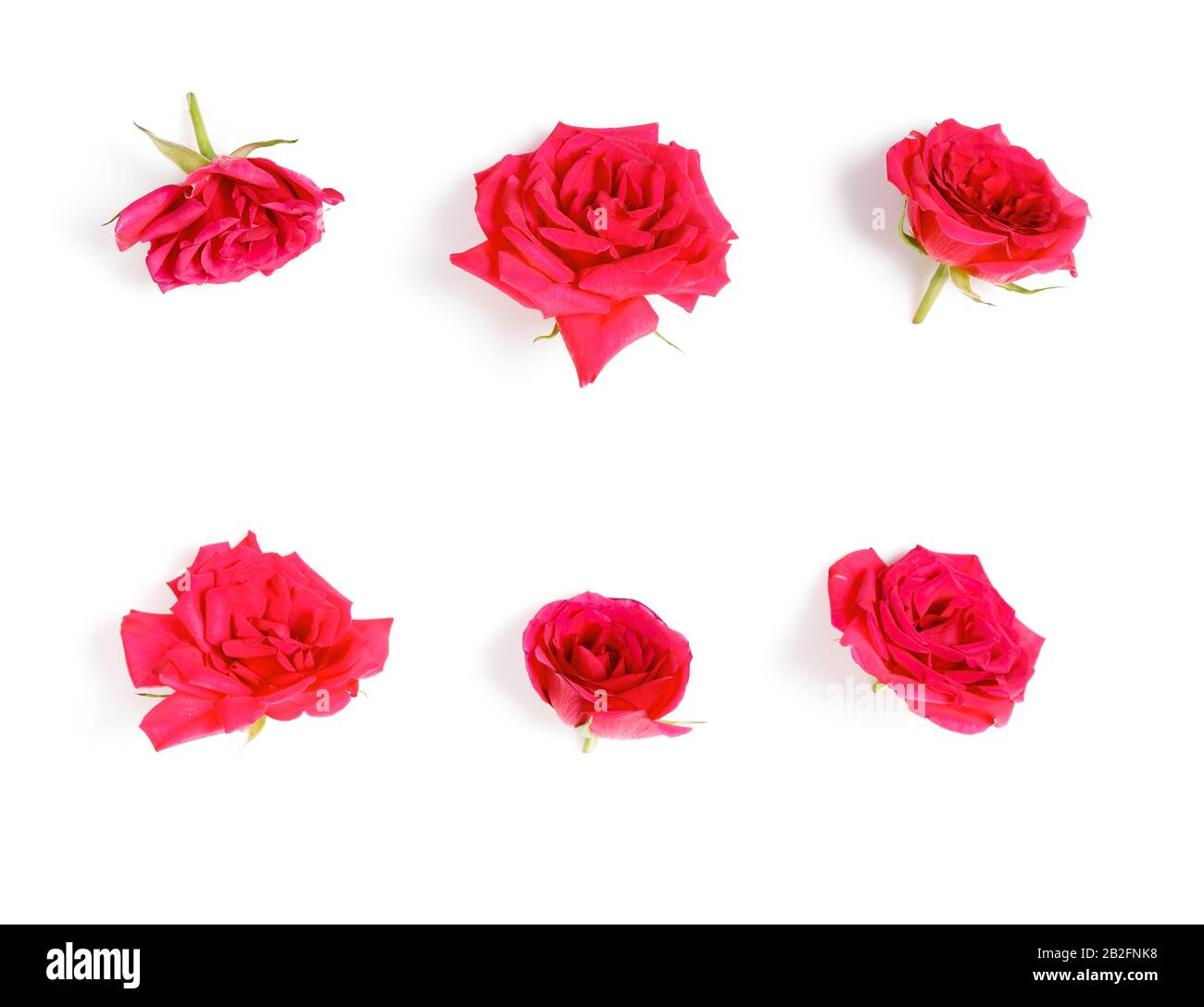 Red flower set hi-res stock photography and images - Alamy