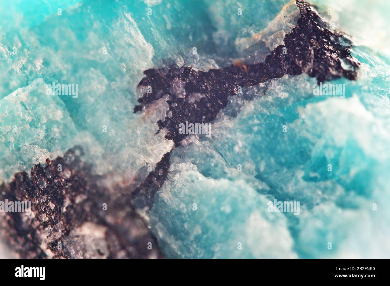Background of natural mineral. Turquoise crystal in a dark brown nugget ...