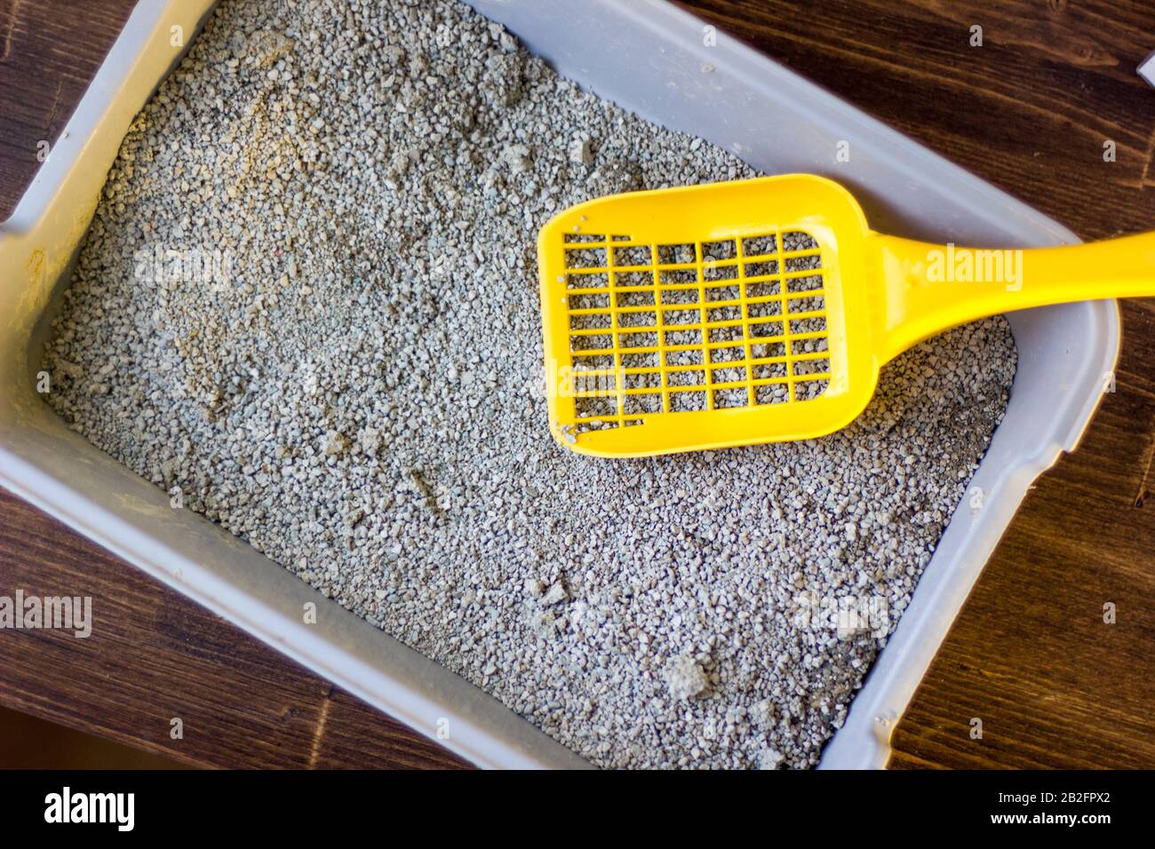 Yellow plastic scoop on the gray litter box, filled by blue litter sand ...