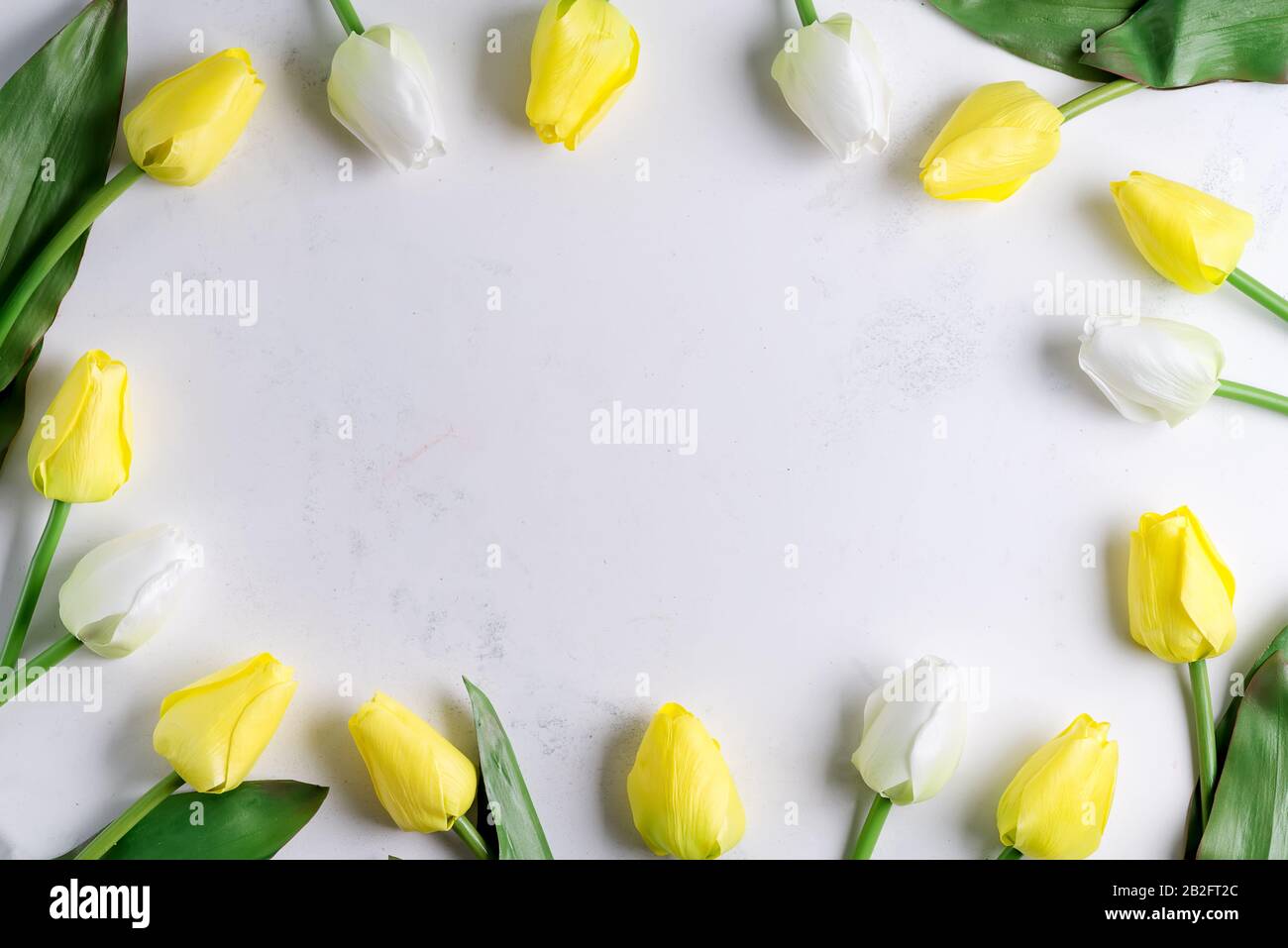 Border frame with white and yellow tulips on white marble background ...