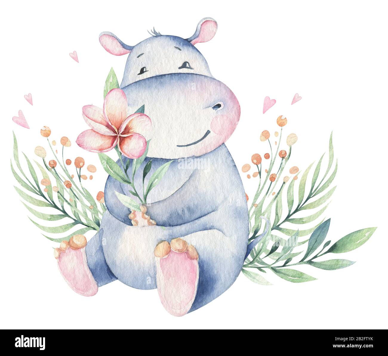 Hand drawn cute isolated tropical summer watercolor hippo animals ...
