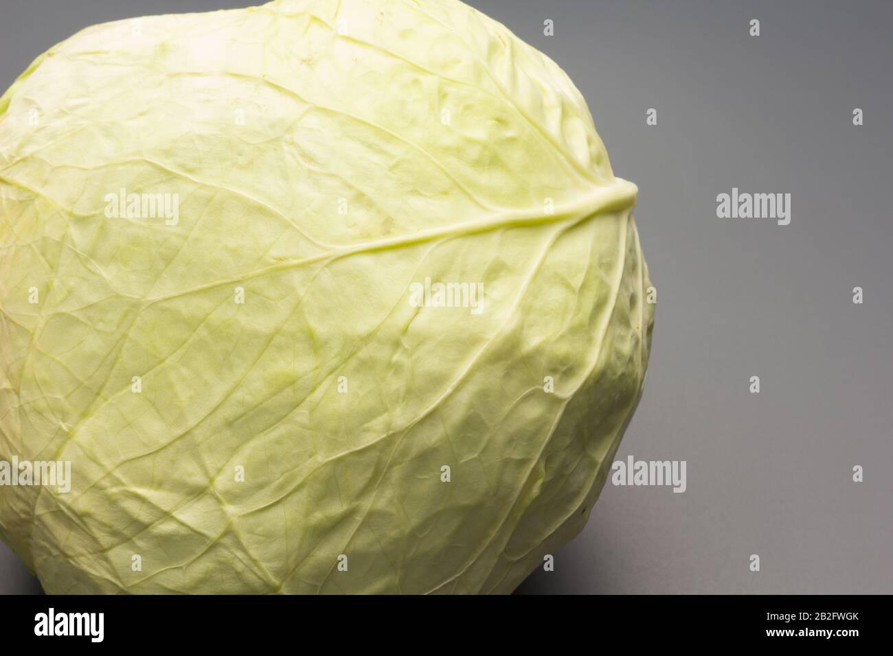 Cabbage melon hi-res stock photography and images - Alamy
