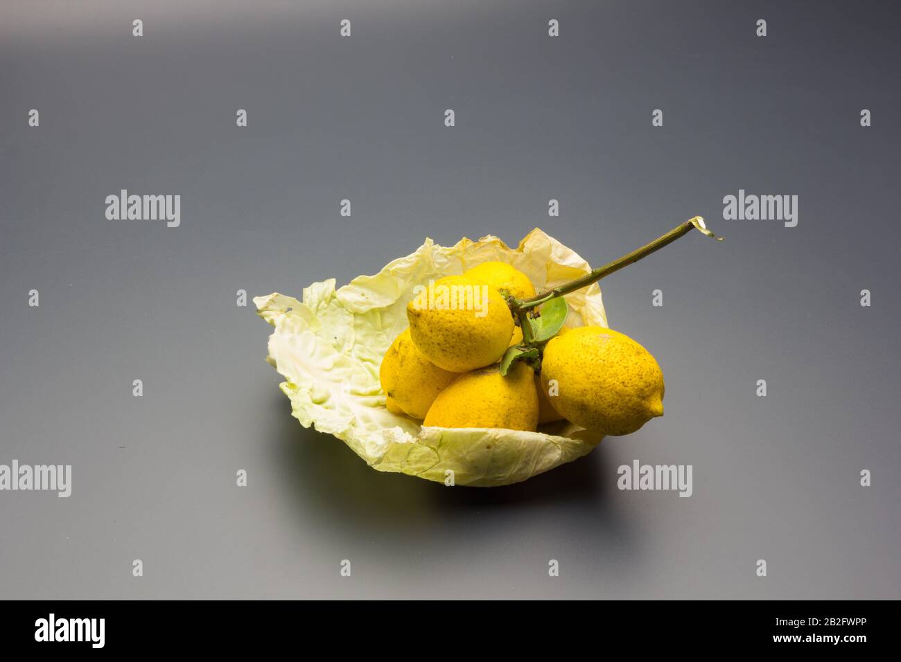 The fruit of the lemon tree is the lemon of yellow skin, with an acid ...