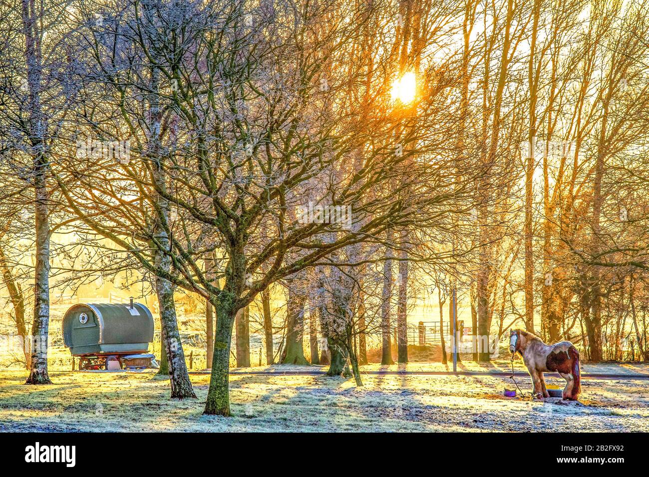Traditional Gypsy Caravan w Horse Winter Scene Stock Photo - Alamy