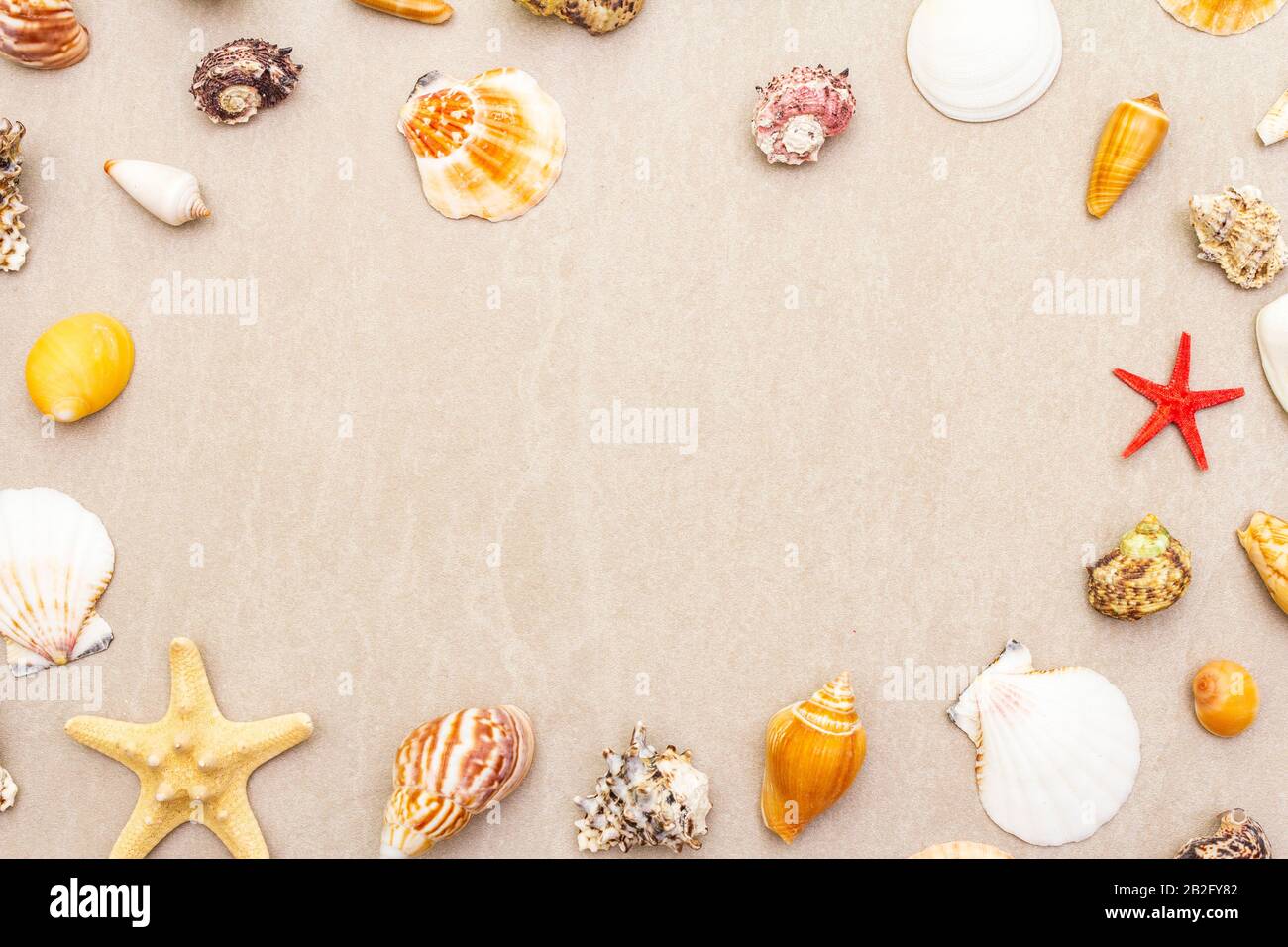 Seashells summer background. Lots of different seashells piled together ...