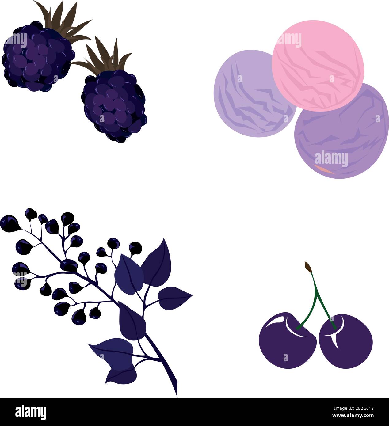 Violet bright vector objects. Berries and desserts. Menu design ...