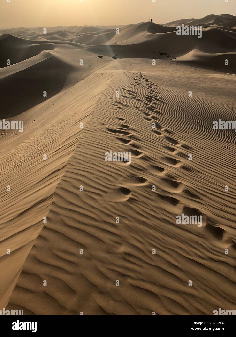 Footsteps in desert hi-res stock photography and images - Alamy