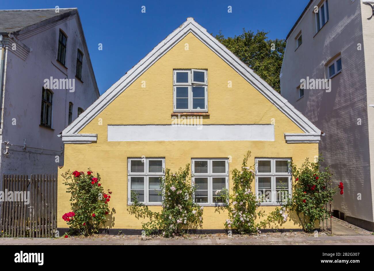 Blue flowers denmark hi-res stock photography and images - Alamy