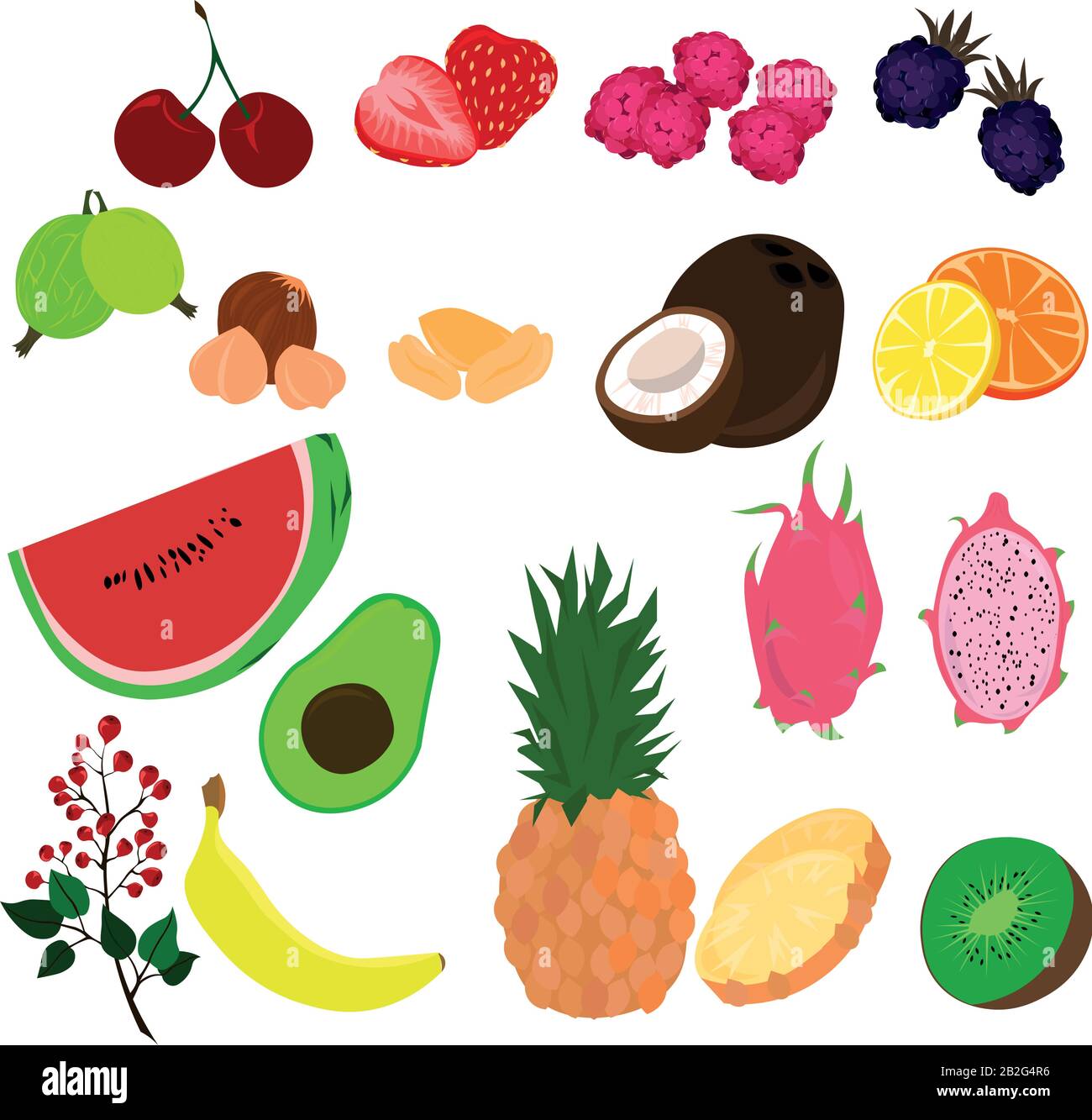 Set of fruits, berries, nuts. Summer design Stock Vector Image & Art ...
