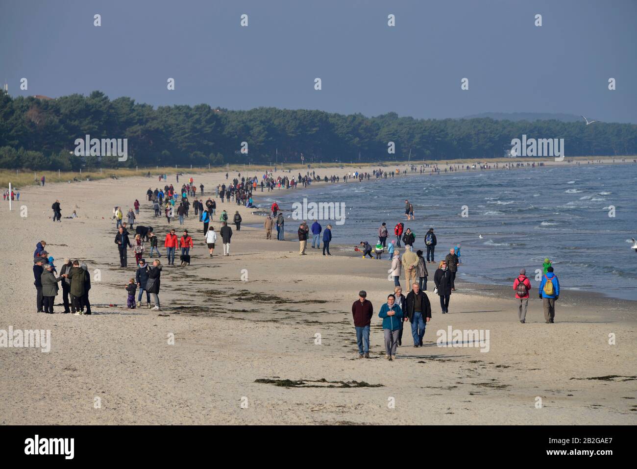 Strand, Binz, Ruegen, Mecklenburg-Vorpommern, Deutschland Stock Photo ...