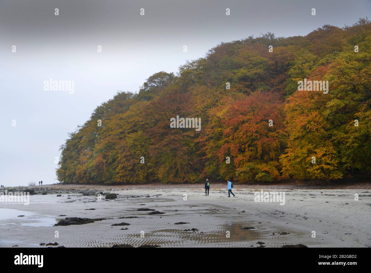 Strand, Silvitzer Ort, Binz, Ruegen, Mecklenburg-Vorpommern ...