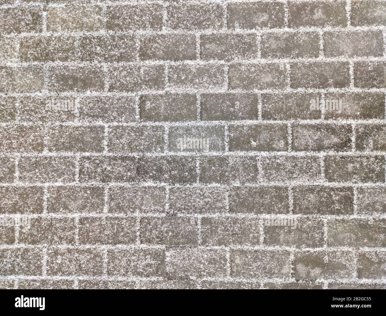 Texture of paving gray rectangular stone tiles covered with light snow ...