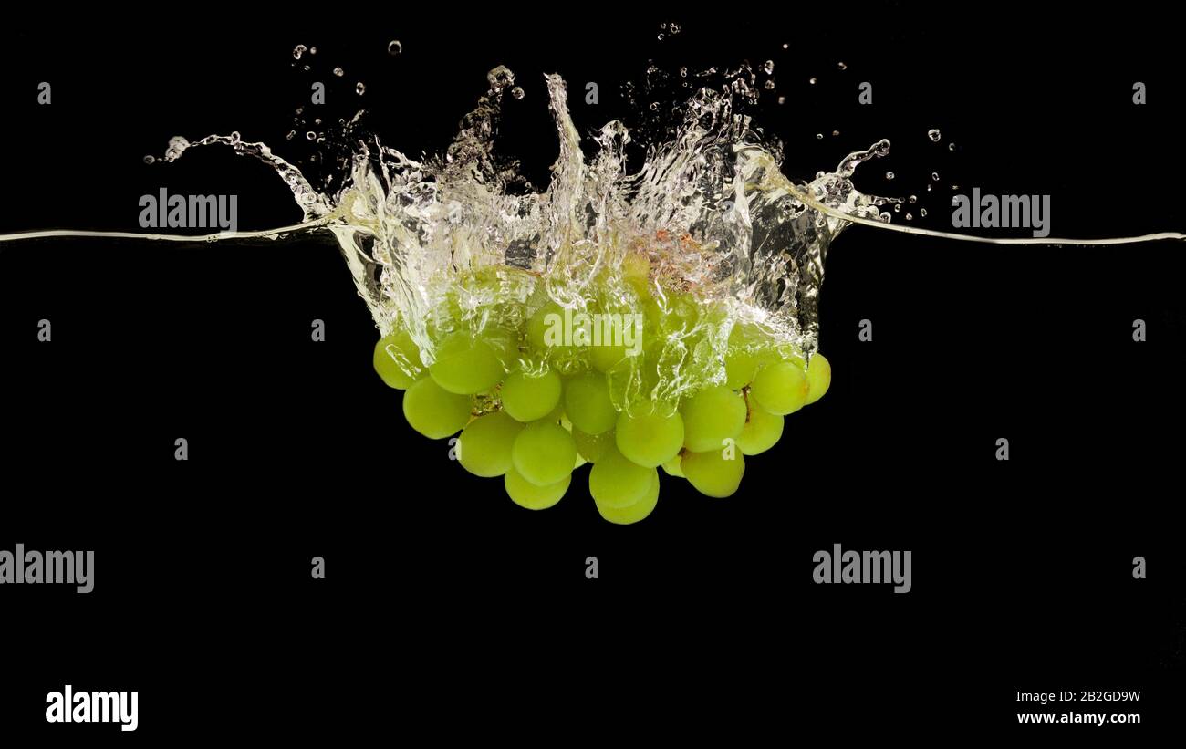 Juicy green grapes splashing into fresh water on black background ...