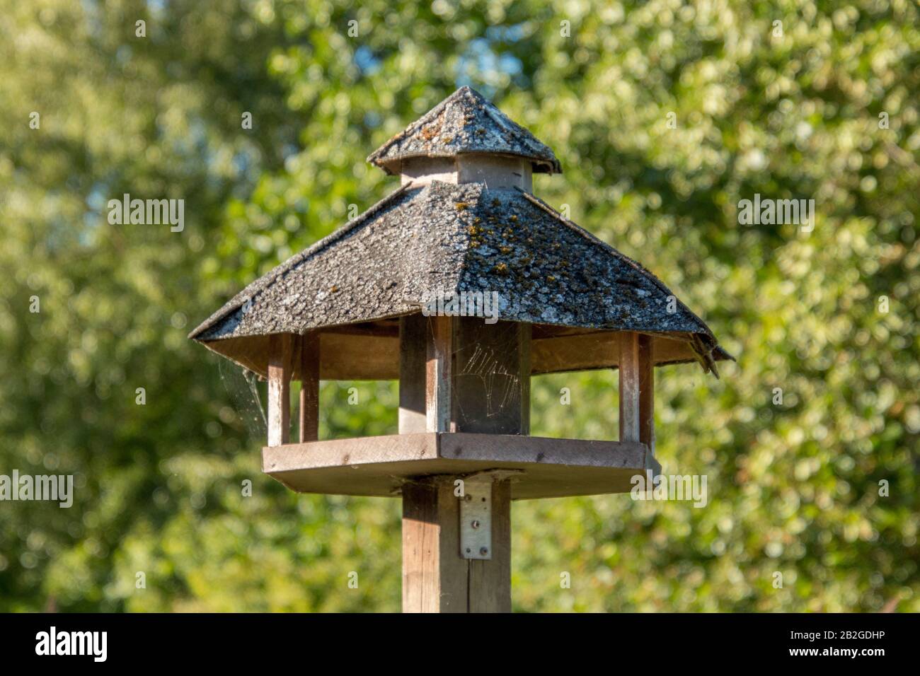 A feeding board for birds in the wild with green background Stock Photo ...